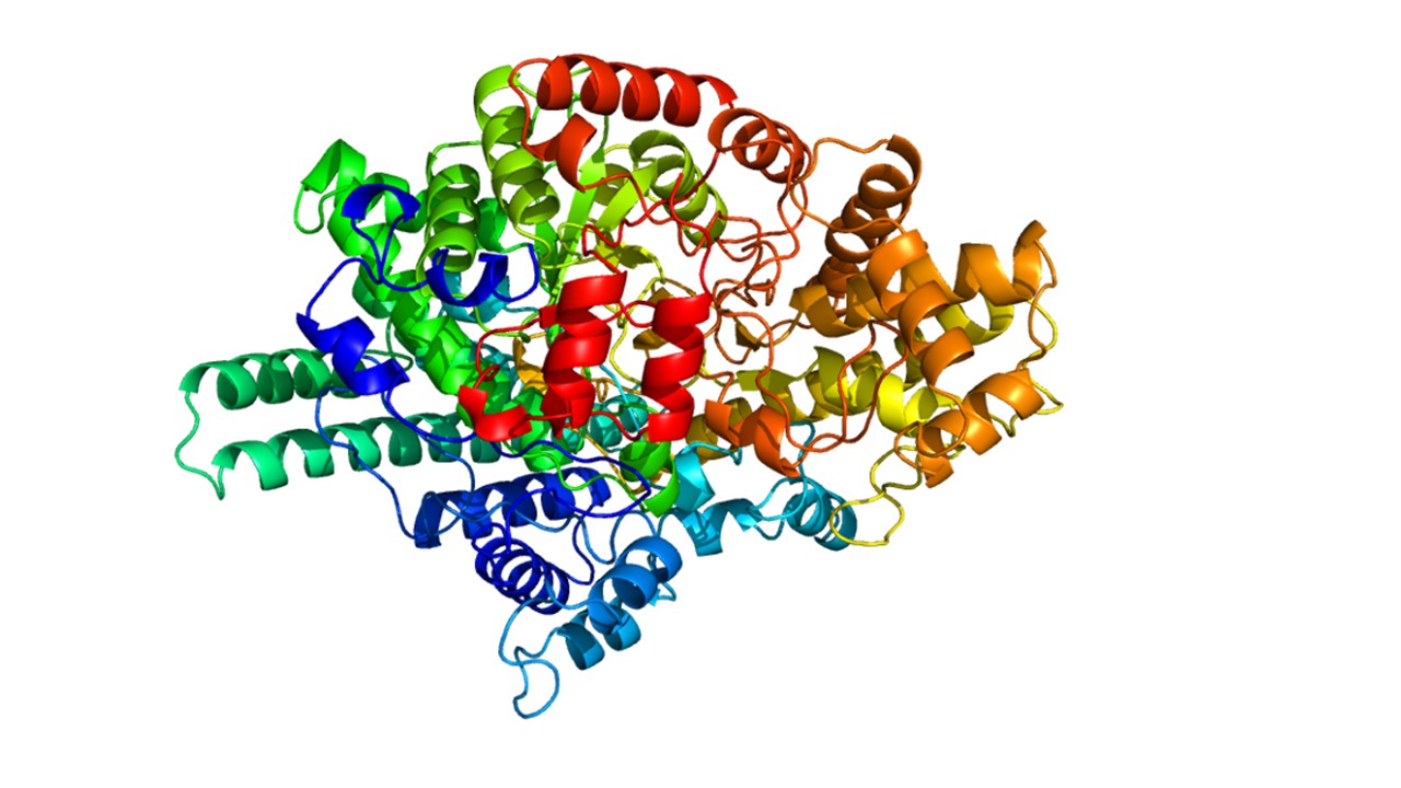 Research Themes: Biocatalysis, Protein & Metabolic Engineering ... Research Themes: Biocatalysis, Protein & Metabolic Engineering ...